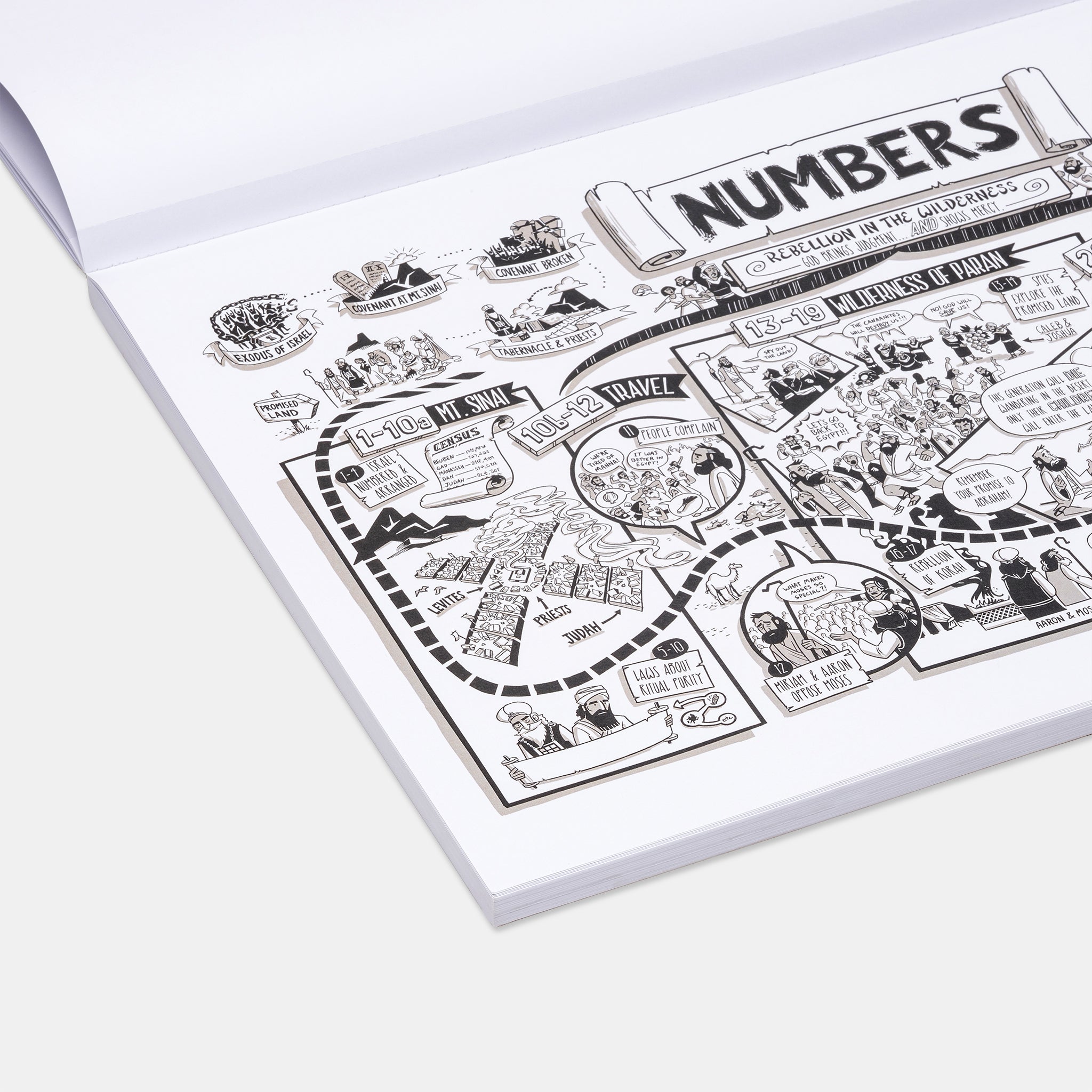 BibleProject Read Scripture Poster Collection Book